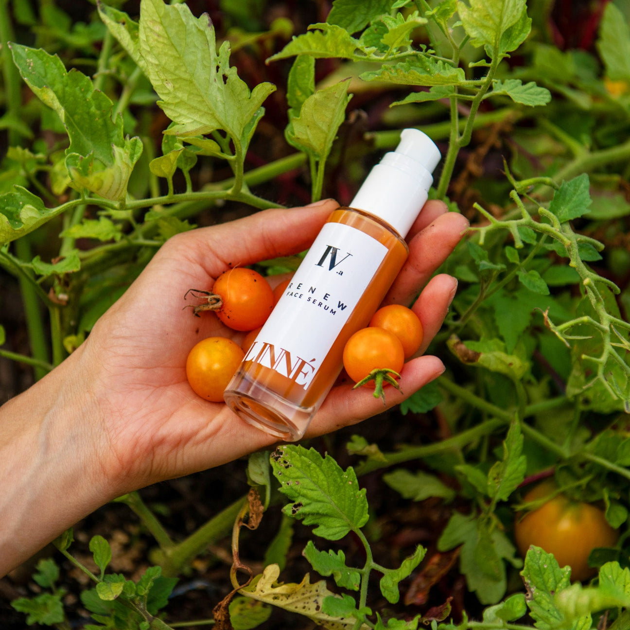 Clean Beauty | Natural Face Products | Organic Skincare | LINNÉ